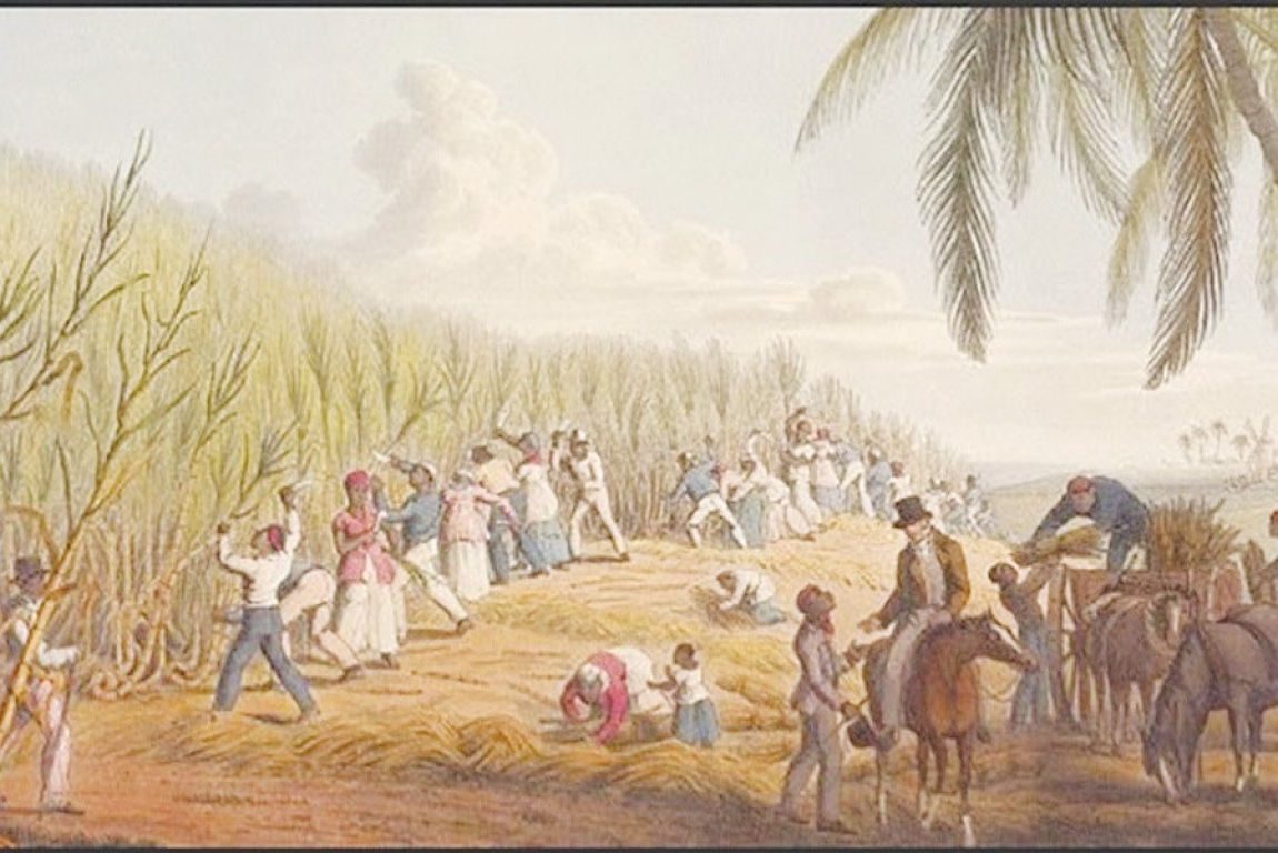 La Esclavitud En Las Colonias Del Sur