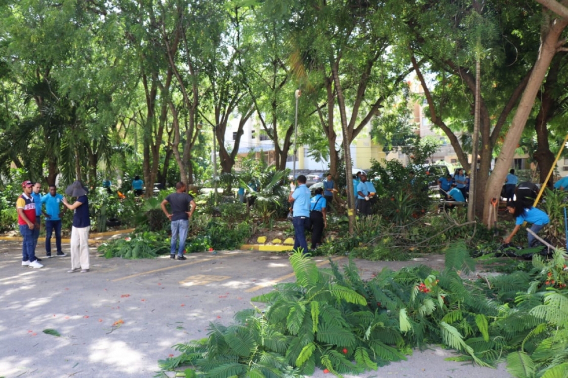 La Información Digital